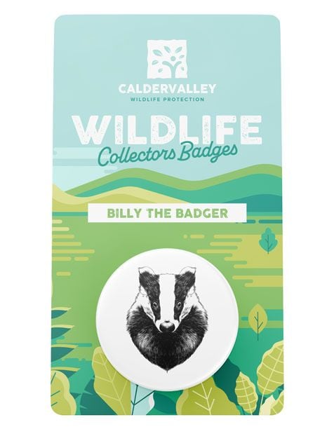 Print Backing Cards – Uniquely Crafted for Individuality – Aura Print